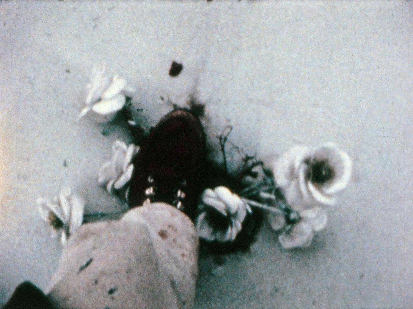 Barbara Hammer - Metrograph