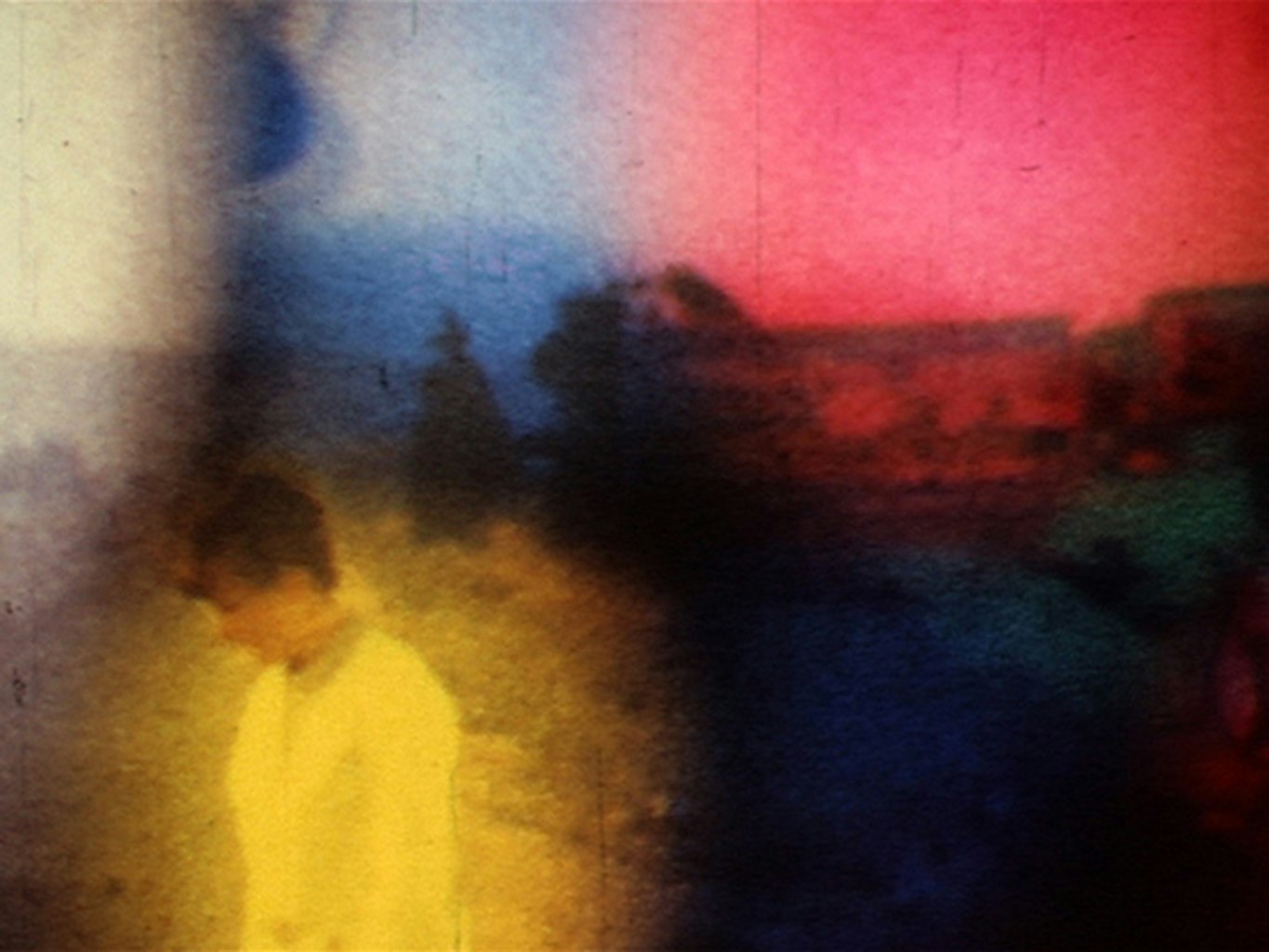 Barbara Hammer - Metrograph