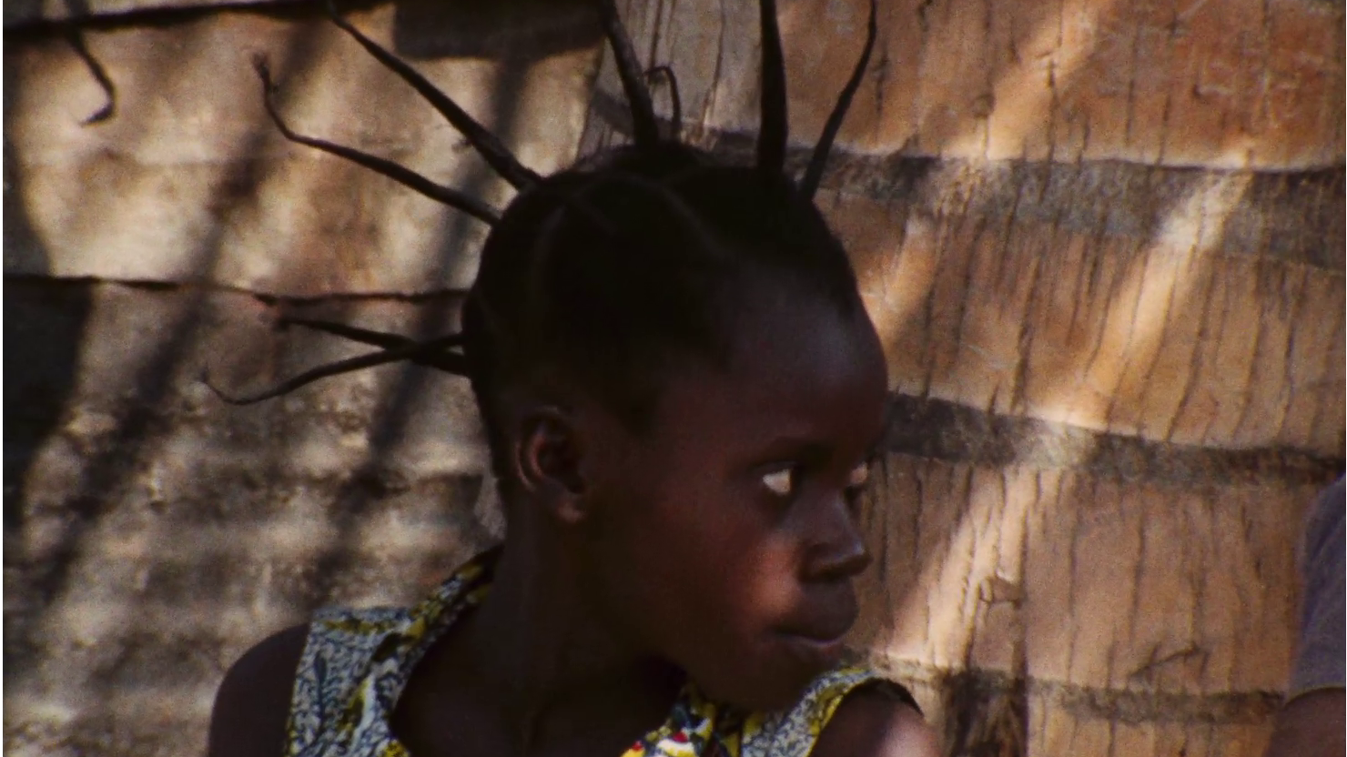 A Chorus for the Revolution - Metrograph