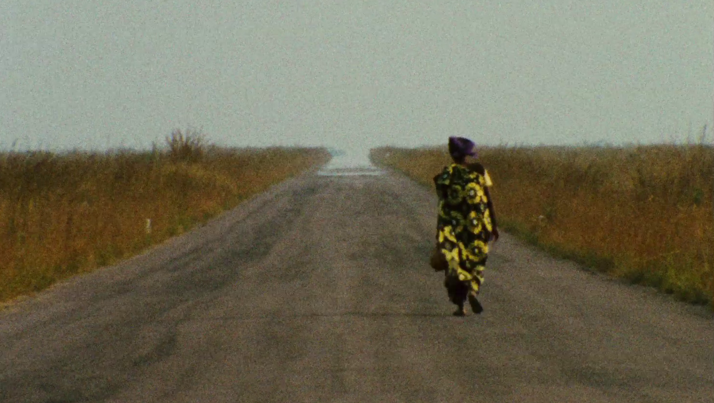 A Chorus for the Revolution - Metrograph