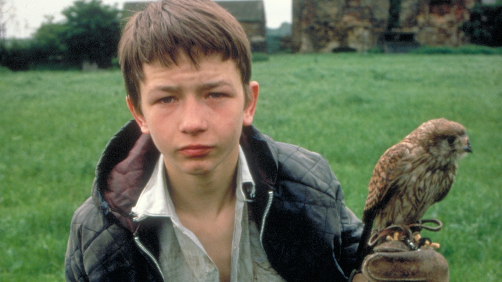 Kes - Now Playing In Theater at Metrograph